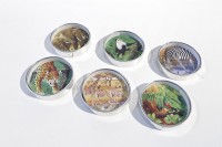 Walter + Prediger | Blechfabrik Händler Shop